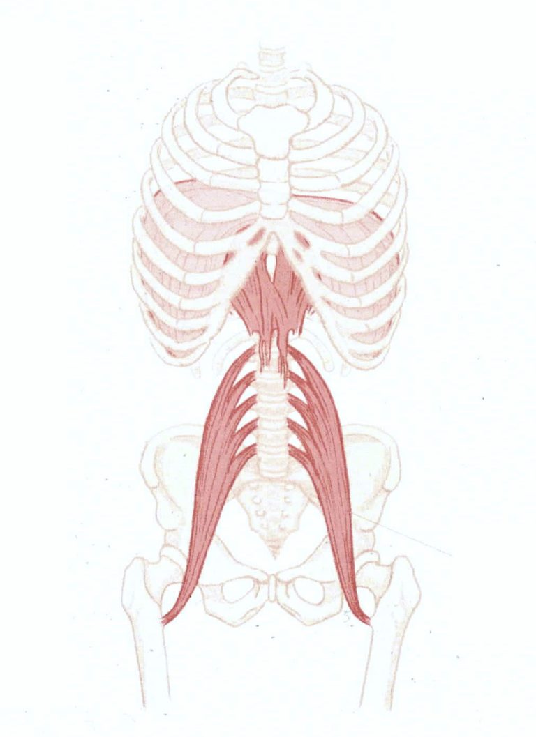 De bevrijding van het middenrif - Diet Sijmons